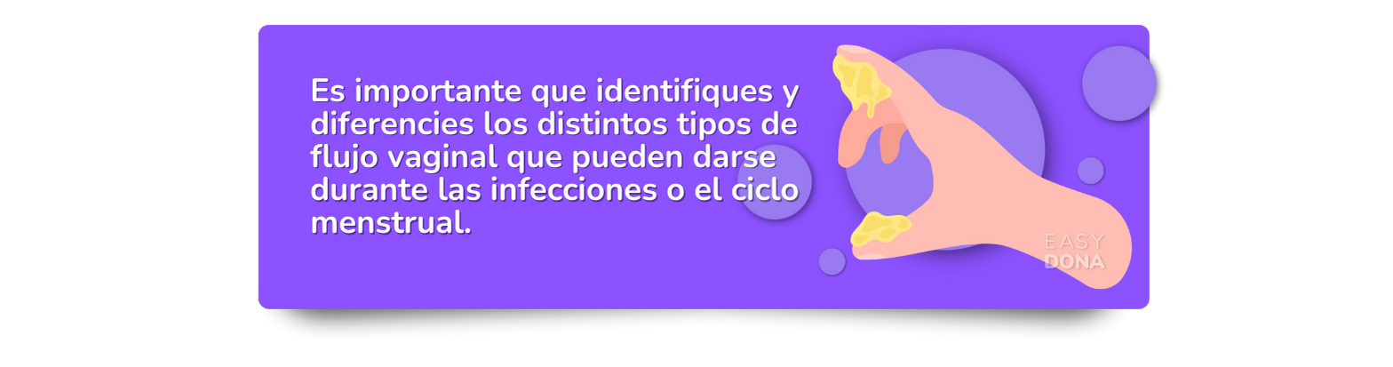 Flujo Blanco Espeso. Que Significa? – VSMNK